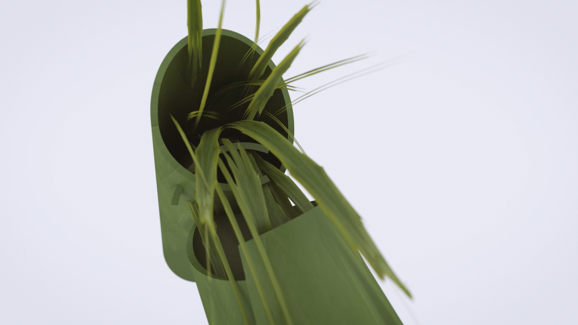 3D science animation - What is cellulose?
