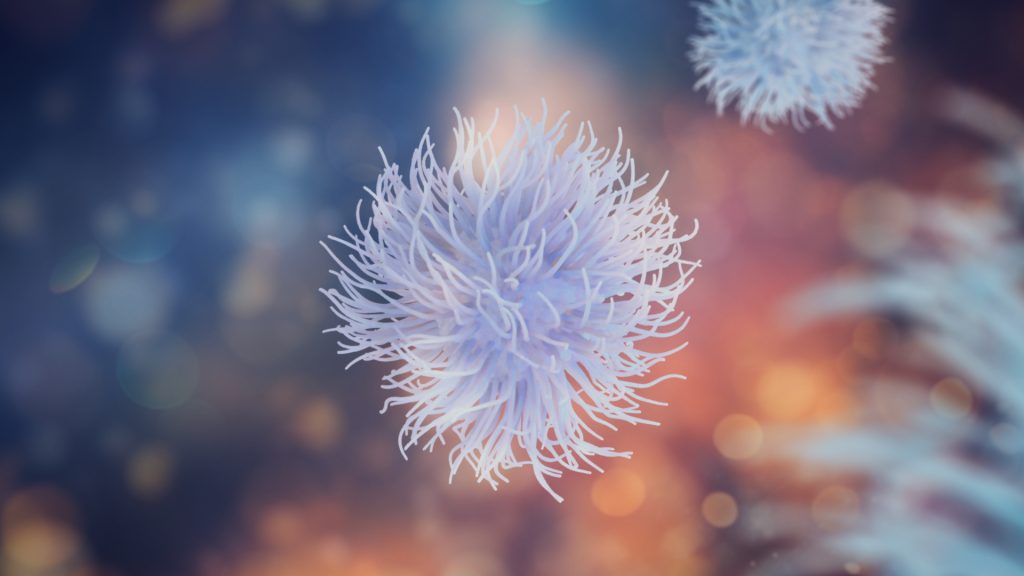 Science animation services - science & animation