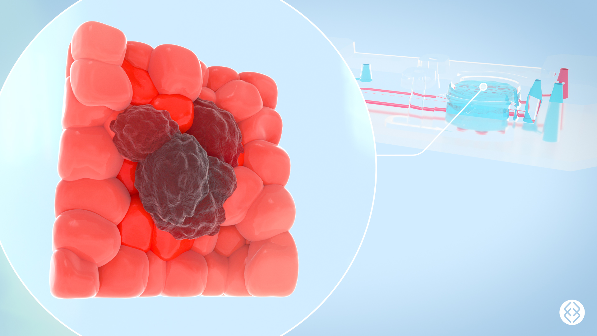 3D Science animations - science & animation