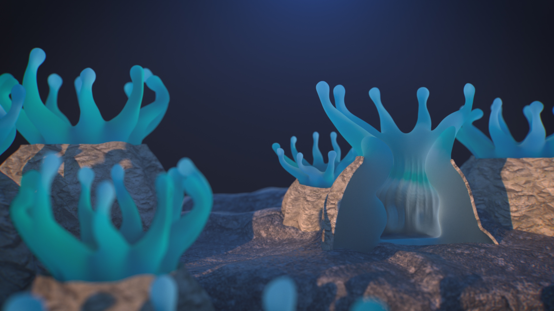3D science animation - Coral