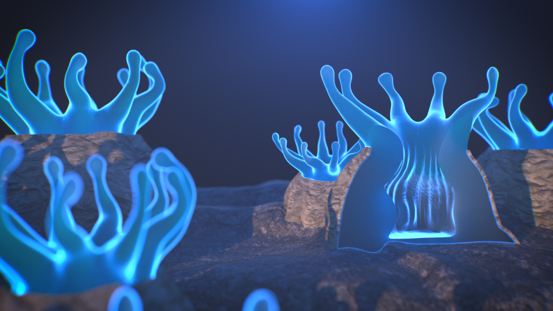 3D science animation - Coral
