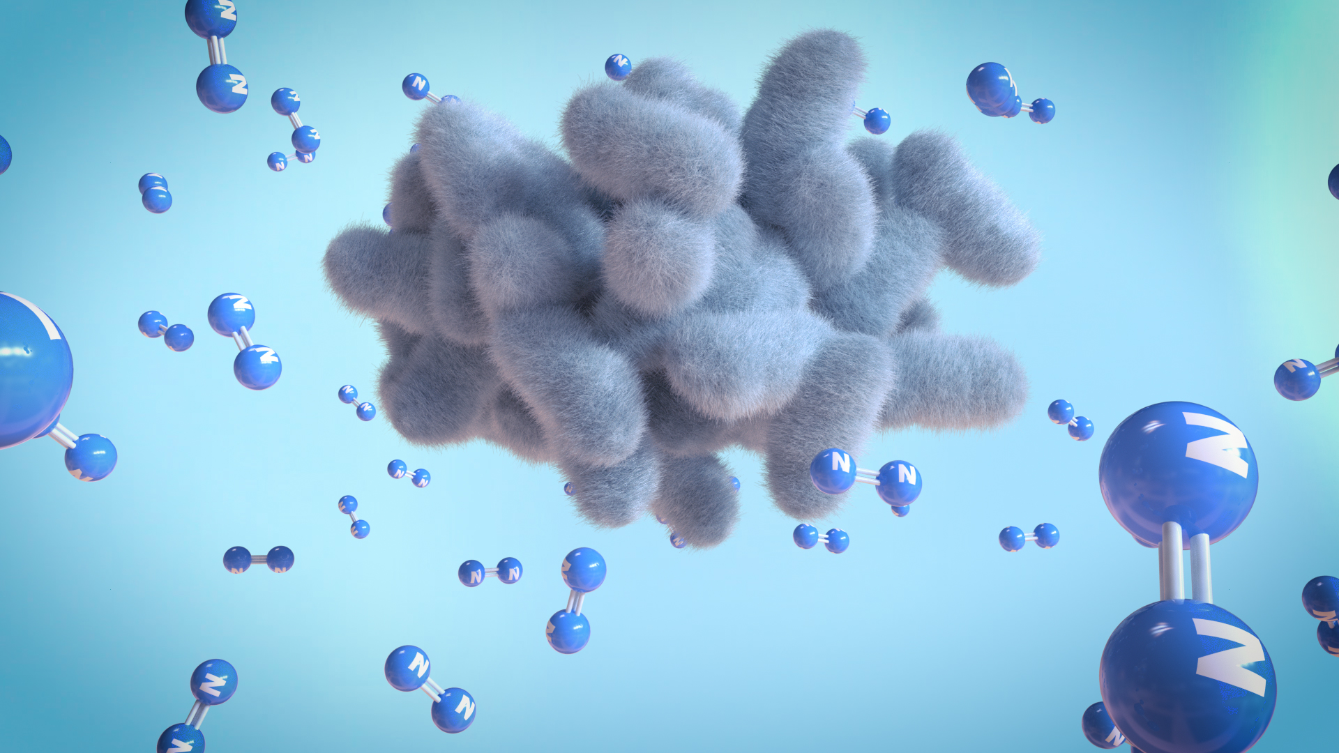 3D science animation - Root Nodule Symbiosis and Wheat