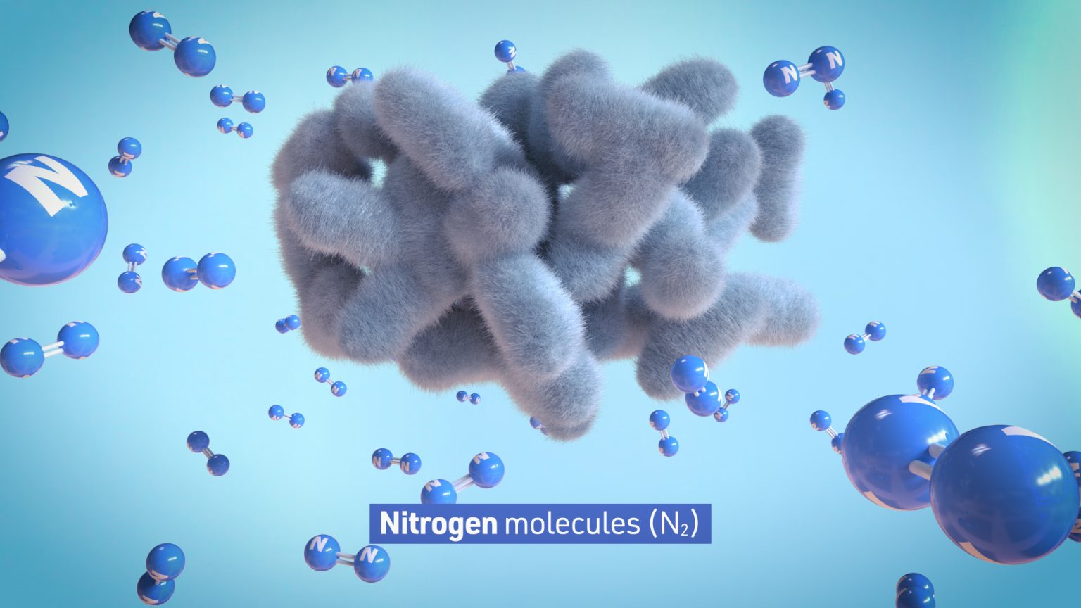 3D Science animations - science & animation