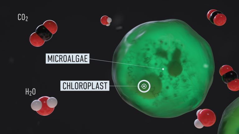 3D Science animations - science & animation