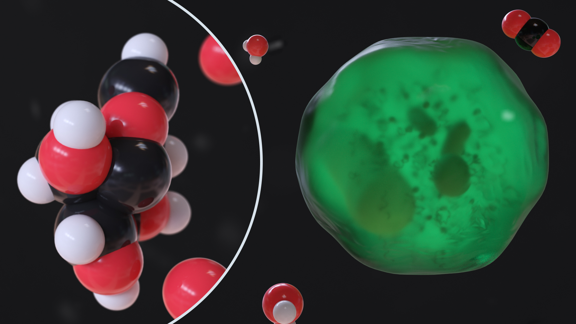 3D science animation - Carbon Removal Using Micro-Algae