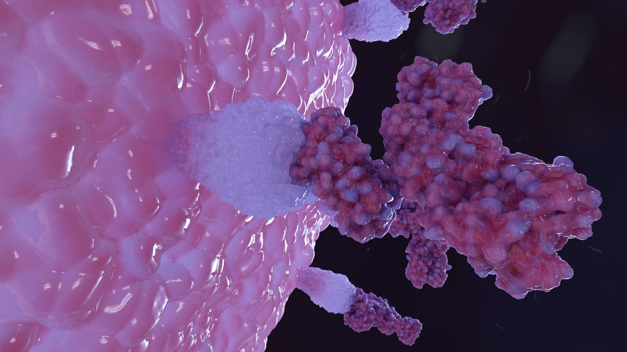 3D science animation - Immunoglobulin attacks virus