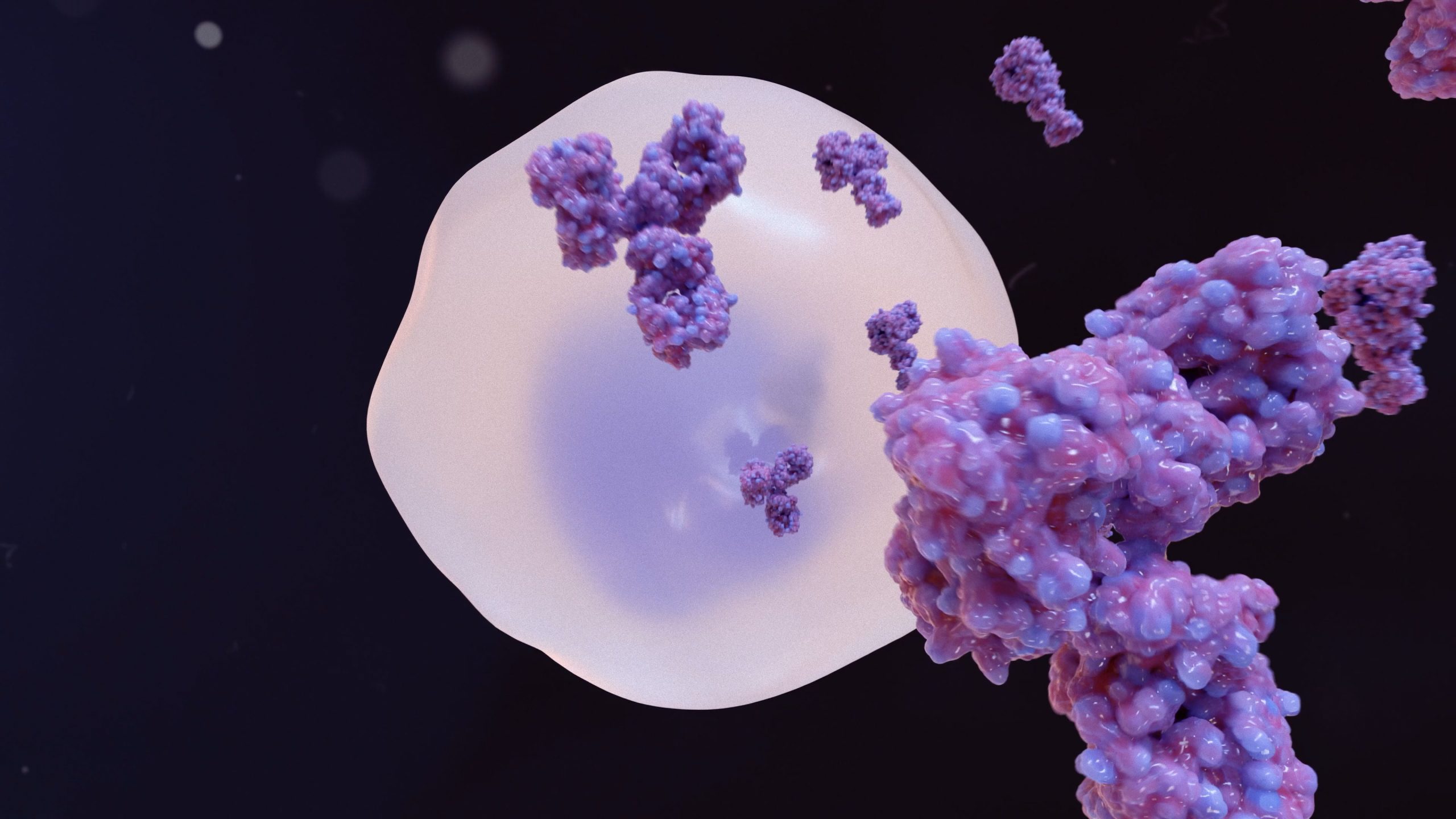 3D science animation - Immunoglobulin attacks virus