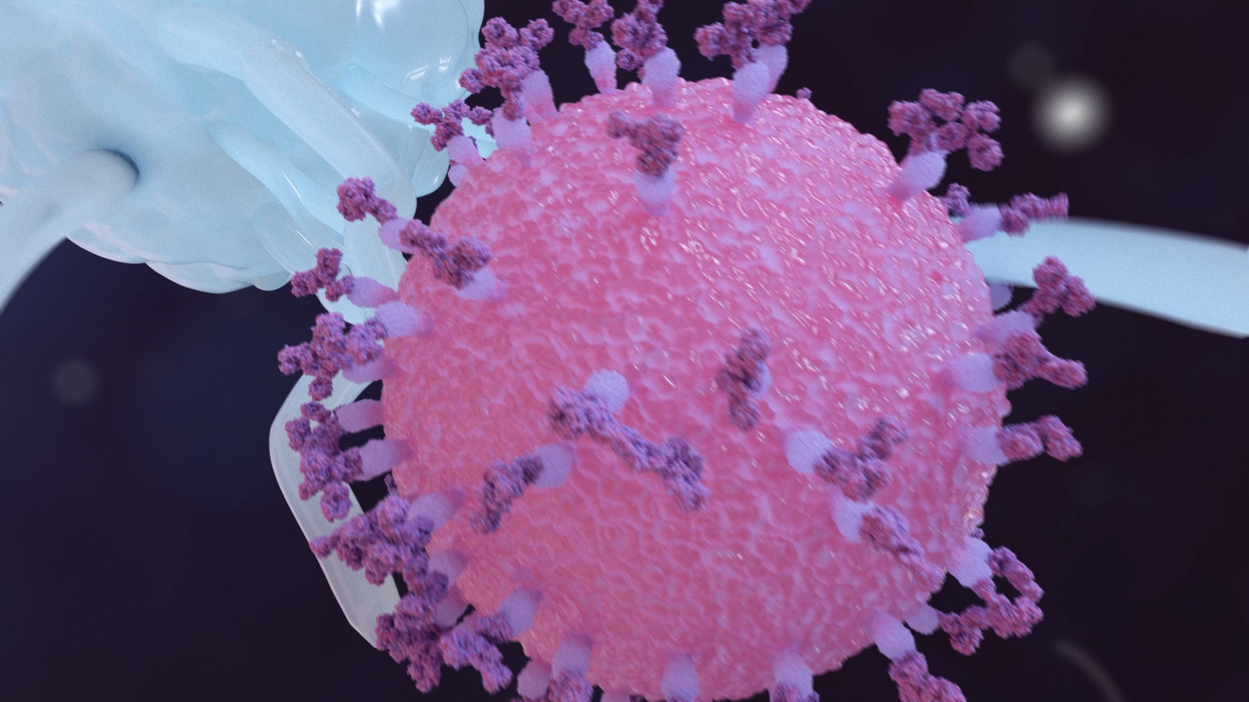 3D science animation - Immunoglobulin attacks virus