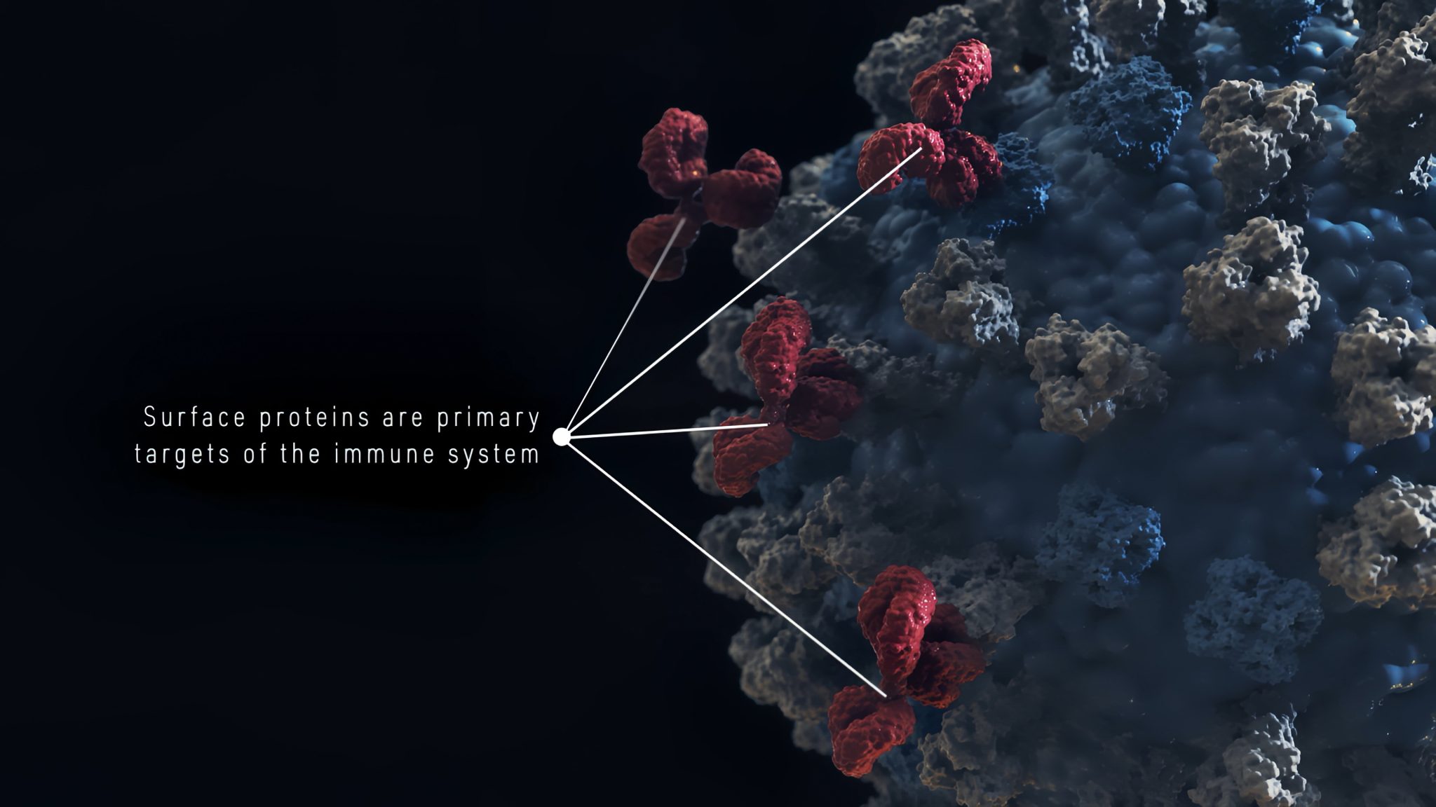 3D Science animations - science & animation